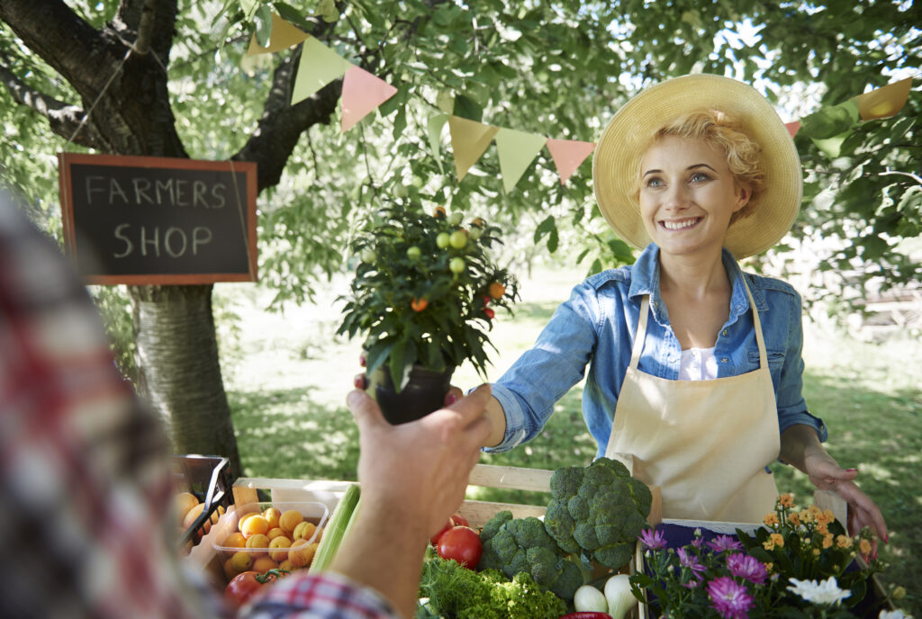 7 negocios ideales para montar en un pueblo pequeño - Tutoriales Tienda Neolo